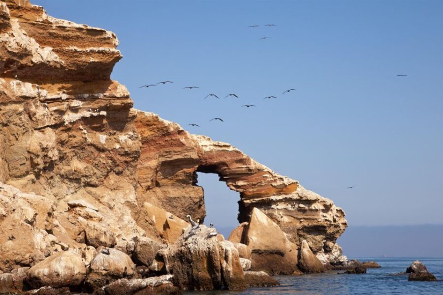 Paracas: Short excursion to Ballestas Island | Sea lions | - Whats Included and Whats Not?