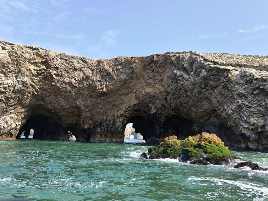 Paracas: speedboat BALLESTAS ISLANDS TOUR - The Itinerary: What You Can Expect