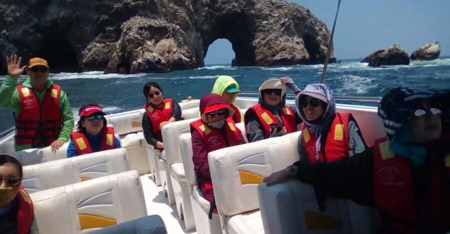 Paracas: Tours to Ballestas Islands by Speed Boat - Who This Tour Is Best For