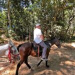 Paraty: 3-Hour Rainforest Horseback Ride - Why This Tour Stands Out
