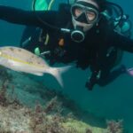 Paraty: Discovery Scuba Diving Experience for Beginners - Analyzing the Value