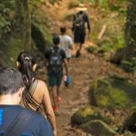 Paraty: Sono Beach Half-day Tour - Final Thoughts: Is This Tour Worth It?