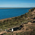 Peninsula Valdés: Shore Excursion in private - The Itinerary: A Layered Experience of Nature and Wildlife