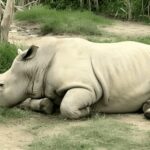 PEREIRA/ARMENIA: FULL DAY UKUMARI/CONSOTÁ + INDIVIDUAL ENTRANCE FEES - Practical Details and Value