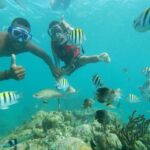 Playa Blanca: Daytour with Snorkeling and Racoon Sighting - Who Should Consider This Tour?