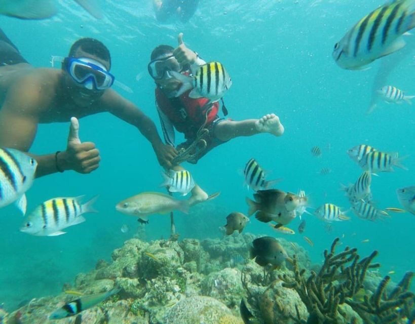 Playa Blanca: Daytour with Snorkeling and Racoon Sighting - Who Should Consider This Tour?
