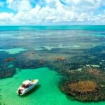 Praia de Paripueira Beach Day Tour - What’s Included and What to Expect