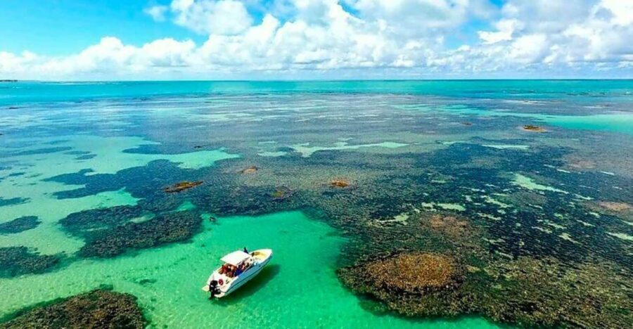 Praia de Paripueira Beach Day Tour - What’s Included and What to Expect