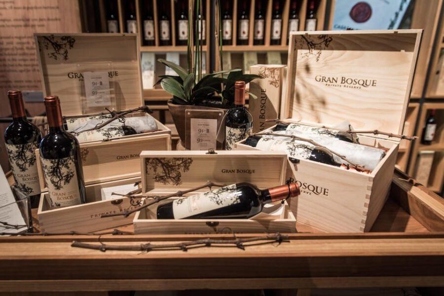 Premium Wine Tasting at Casas del Bosque + Private Transport - What Makes This Tour Stand Out?