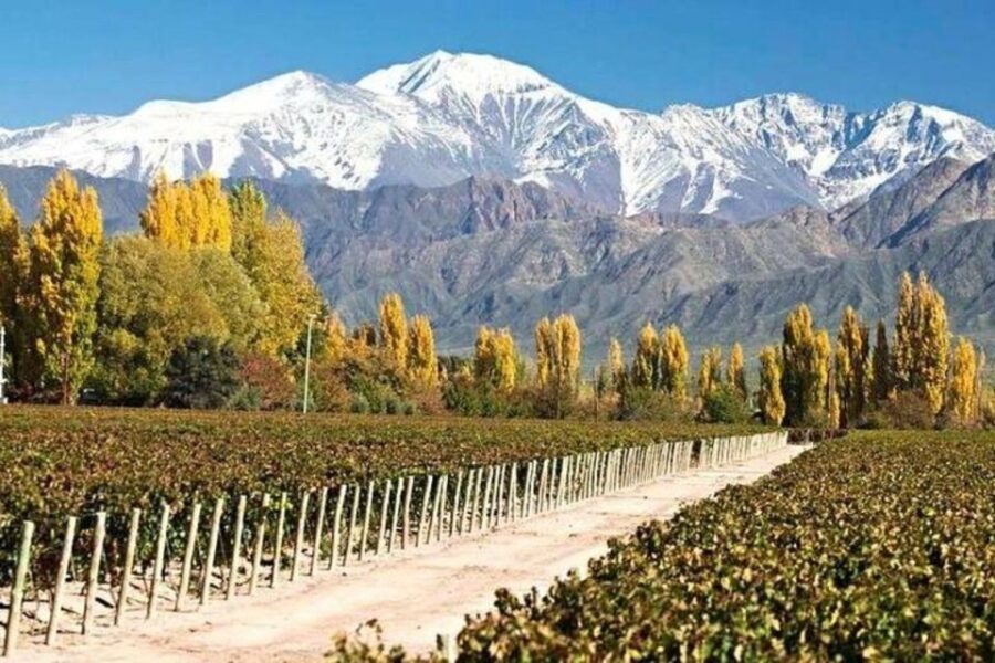 Private Day Mendoza Wineries (Opt Flight from Buenos Aires) - Practical Considerations and Tips