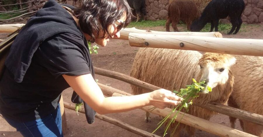 Private Full-Day Sacred Valley & Alpaca Farm Tour - A Closer Look at the Itinerary