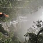 Private Tijuca Forest & Botanical Garden Guided Tour - Exploring the Natural Wonders of Rio