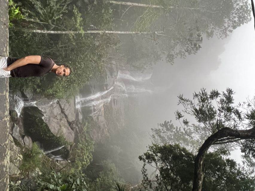 Private Tijuca Forest & Botanical Garden Guided Tour - Exploring the Natural Wonders of Rio