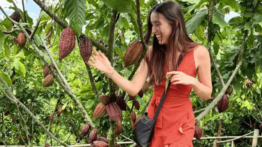 Private Tour of Chocolate Plantation and Processing - Practical Details and Value