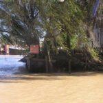 Private Tour to Tigre and the Delta - The Value of the Experience