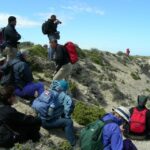 Puerto Madryn: 4×4 Jeep Sunset - The Sum Up