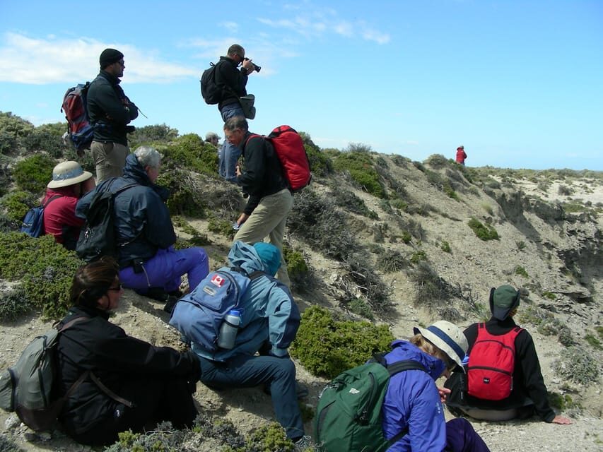 Puerto Madryn: 4×4 Jeep Sunset - The Sum Up