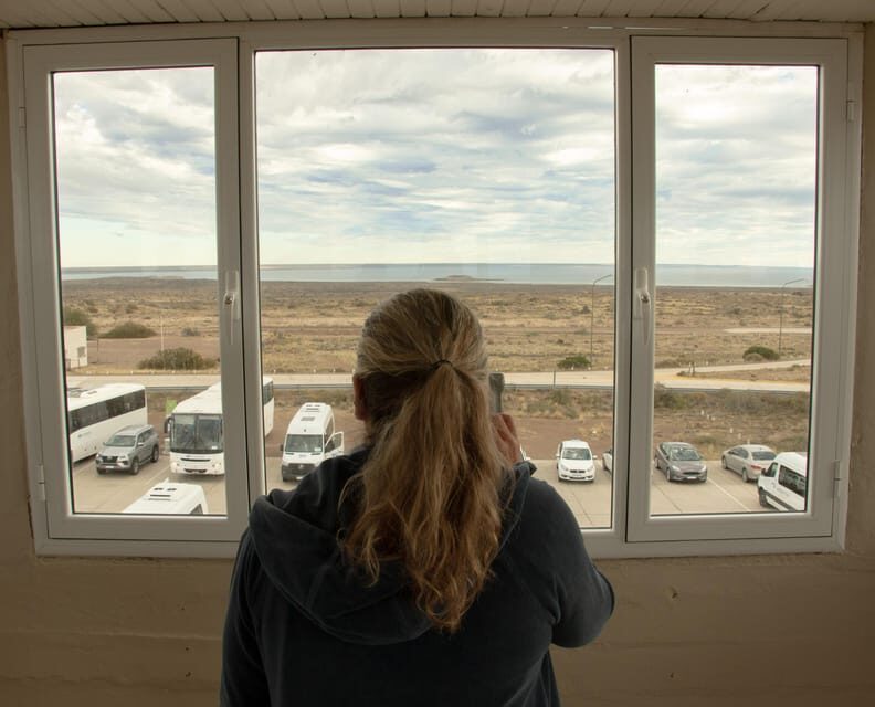 Puerto Madryn: Full Day Peninsula Valdes Experience Tour - Exploring the Itinerary: Step-by-Step