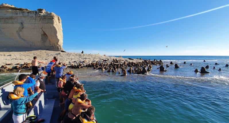 Puerto Madryn: Peninsula Valdes Tour with Whale Watching - Beyond Whales: Wildlife Encounters