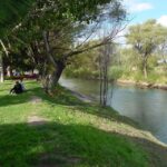 Puerto Madryn: Tour of Welsh Settlements in Patagonia - Who Will Love This Tour?
