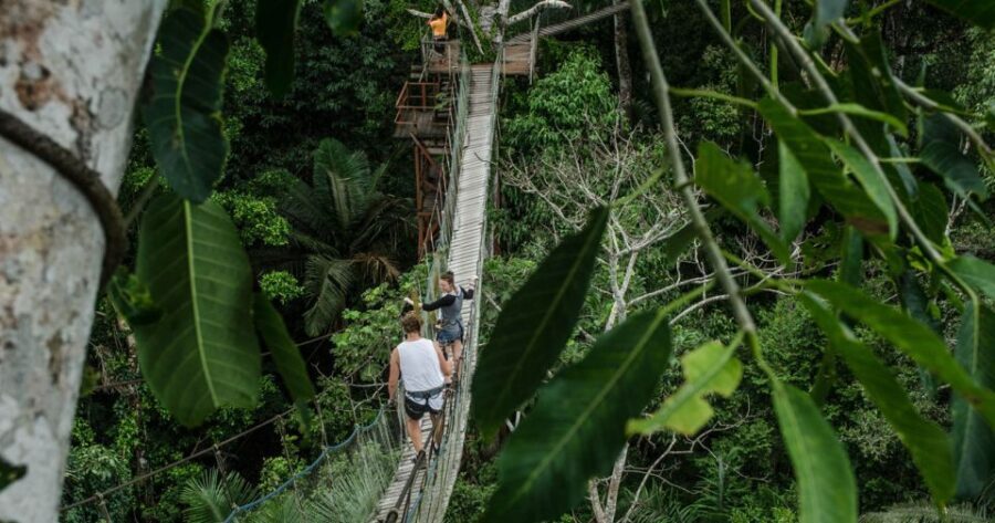 Puerto Maldonado: 2-Day Peruvian Tambopata Jungle Trip - The Itinerary Breakdown: What to Expect