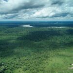 Puerto Maldonado: 2-day Tambopata National Reserve Tour - What Travelers Say About Their Experience