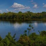 Puerto Maldonado: Excursion to the Chuncho clay lick - What’s Included and What’s Not