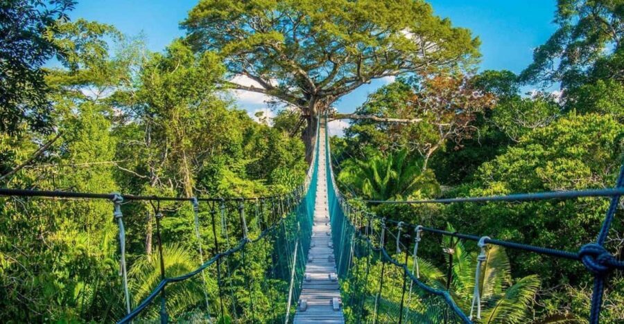 Puerto Maldonado: Jungle Adventure |Zipline + Canopy + Kayak - What’s Included and What’s Not