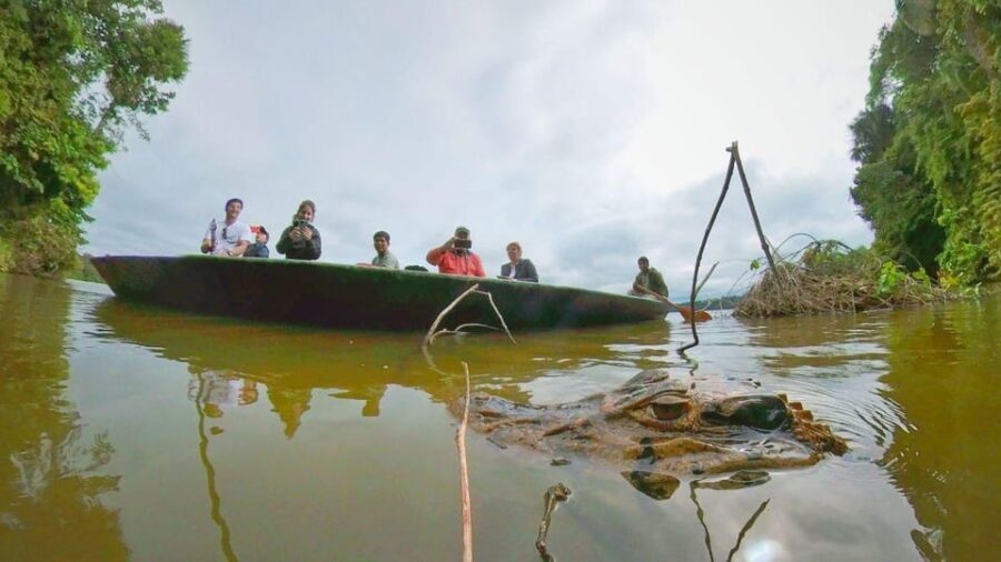 Puerto Maldonado: Lago Sandoval Day Trip with Lunch - What Makes This Tour Stand Out?