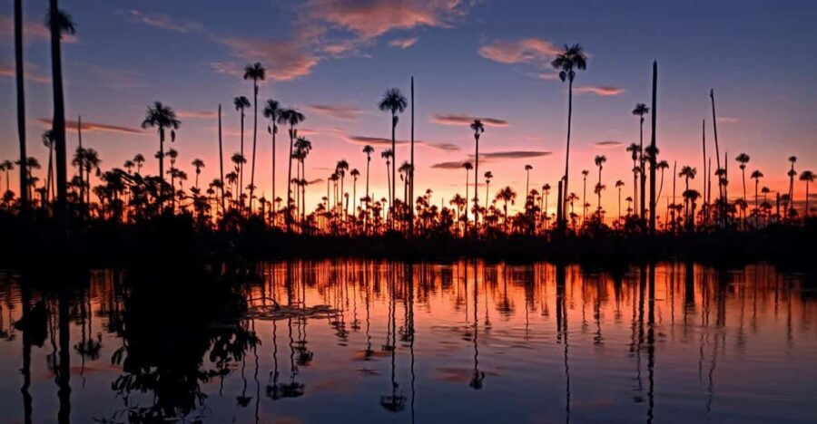 Puerto Maldonado Visit to Lake Yacumama and Enjoy the Sunset - What’s Included and What’s Not