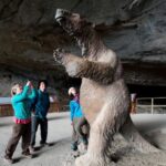 Puerto Natales: Torres del Paine Full Day Tour - Why Choose This Tour?