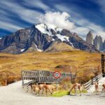 Puerto Natales: Tour Package (Full Day + Base Torres + Grey) - The Practical Details