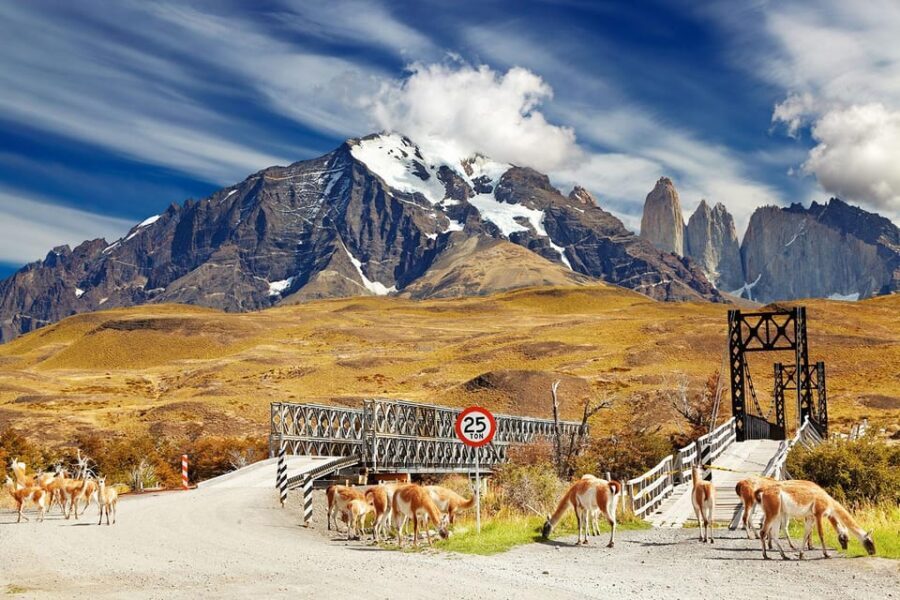 Puerto Natales: Tour Package (Full Day + Base Torres + Grey) - The Practical Details