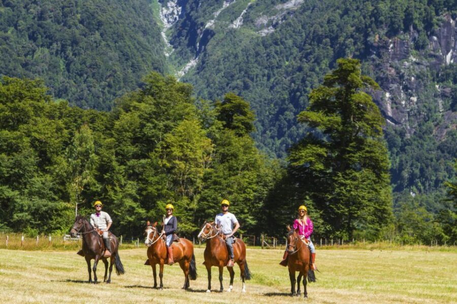 Puerto Varas: Peulla Day Trip with navigation - Who This Tour Is Best For