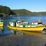 Puerto Varas: Puerto Montt & Puerto Varas Private City Tour - Value Analysis: Is It Worth the Price?