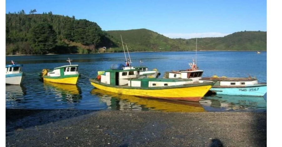 Puerto Varas: Puerto Montt & Puerto Varas Private City Tour - Value Analysis: Is It Worth the Price?