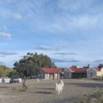 Punta Loma + Ranch Shore Excursion for cruise passengers - Practical Details & What to Expect