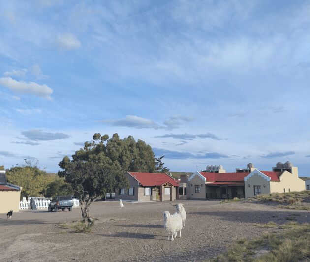 Punta Loma + Ranch Shore Excursion for cruise passengers - Practical Details & What to Expect