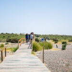 Punta Tombo for cruisers - Authentic Wildlife Encounters and Guides’ Expertise