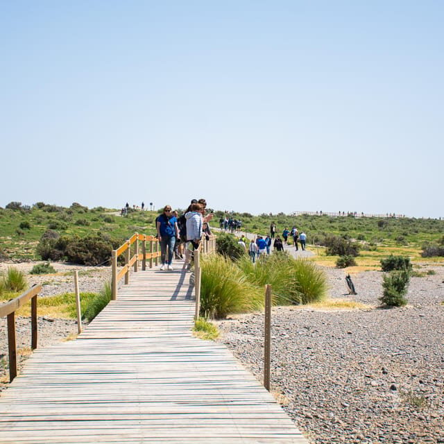 Punta Tombo for cruisers - Authentic Wildlife Encounters and Guides’ Expertise