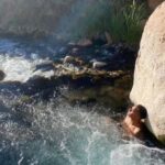 Purilibre: Trekking with Ancient Cacti and Medicinal Waters - The Trek Itself: Beautiful Paths and Wildlife Encounters