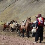 Rainbow Mountain Horseback Riding Tour + Buffet Lunch - Analyzing the Value: Is It Worth It?
