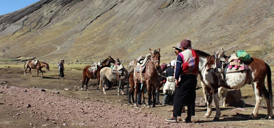Rainbow Mountain Horseback Riding Tour + Buffet Lunch - Analyzing the Value: Is It Worth It?