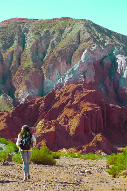 Rainbow Valley Tour: Mesmerizing Colors and Flavors - Surreal Landscapes: A Visual Feast