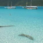 Rio: Arraial do Cabo Trip with Boat Tour with Lunch - What the Tour Means for Travelers