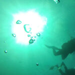 Rio: Best Dive Experience All Inclusive Scuba Diving Package - What to Expect Underwater