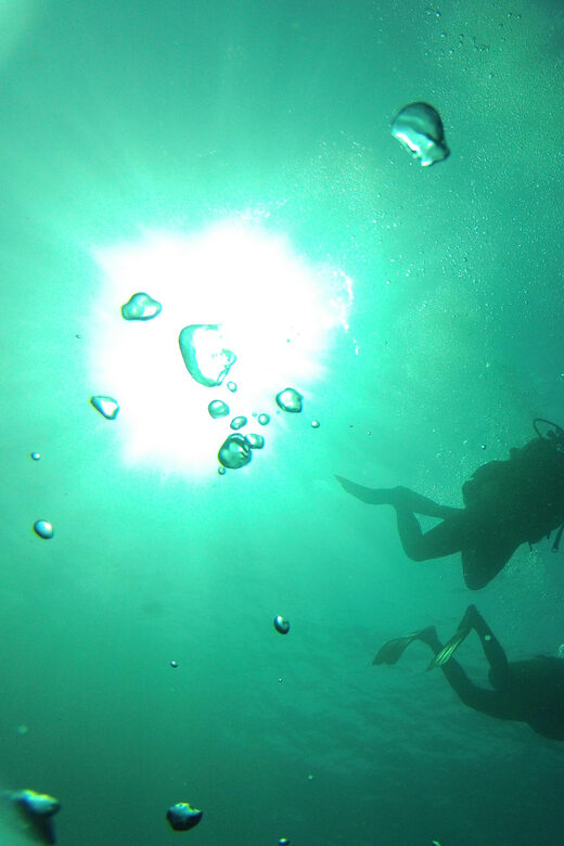 Rio: Best Dive Experience All Inclusive Scuba Diving Package - What to Expect Underwater