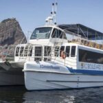 Rio: Boat Tour of Guanabara Bay - Why This Tour Works Well
