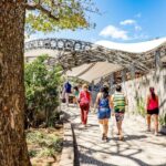 Rio: Christ the Redeemer Early Access and Sugarloaf - Authentic Experiences and Insights from Travelers