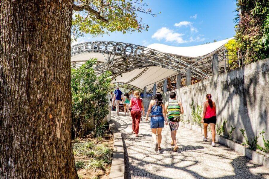 Rio: Christ the Redeemer Early Access and Sugarloaf - Authentic Experiences and Insights from Travelers